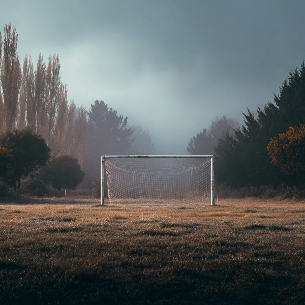 Misleading goals